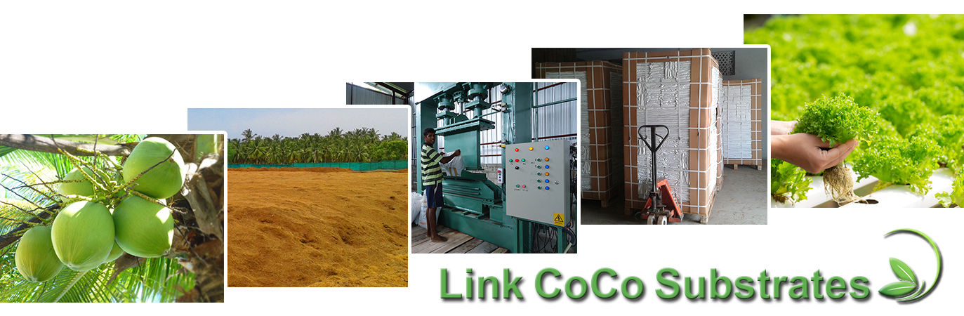 Welcome to Link CoCo Substrates